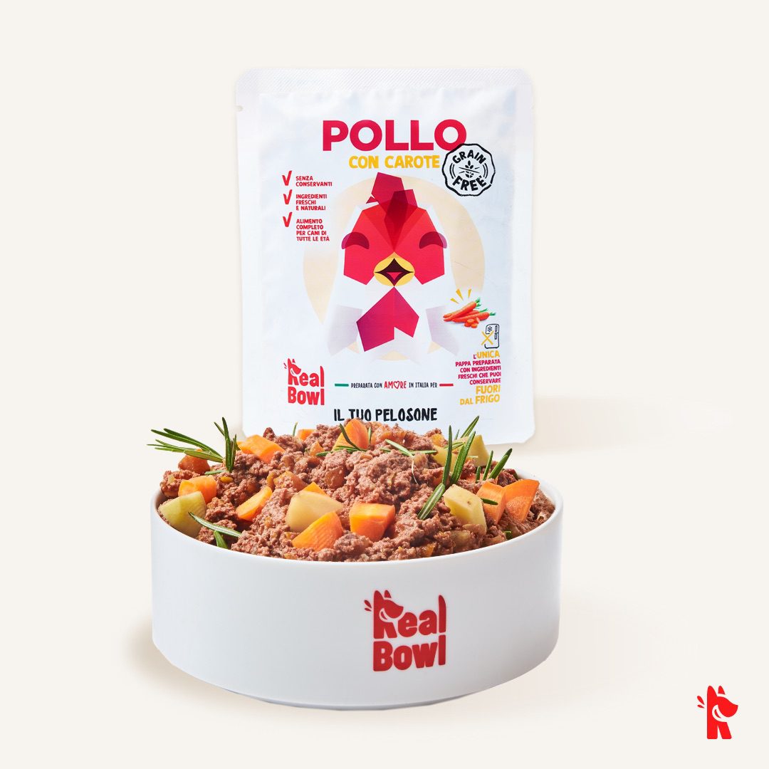 Pappa fresca di Pollo RAW - Real Bowl